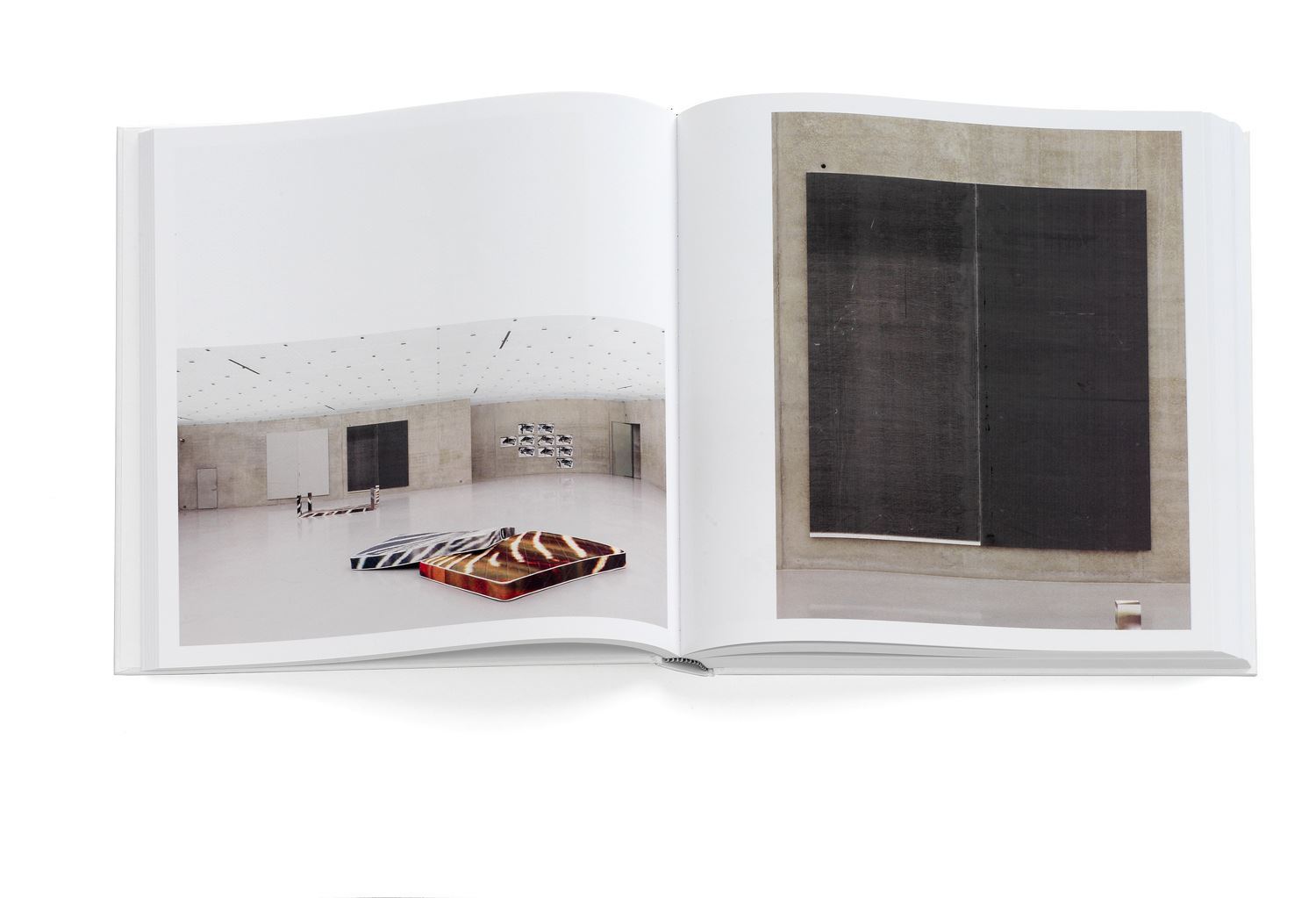 WADE GUYTON, GUYTON\WALKER, KELLEY WALKER-Kunsthaus Bregenz