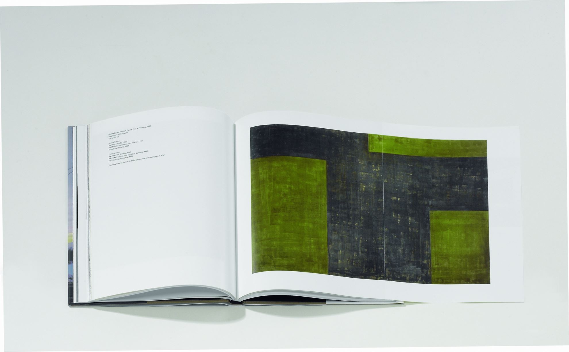 Helmut Federle-Kunsthaus Bregenz